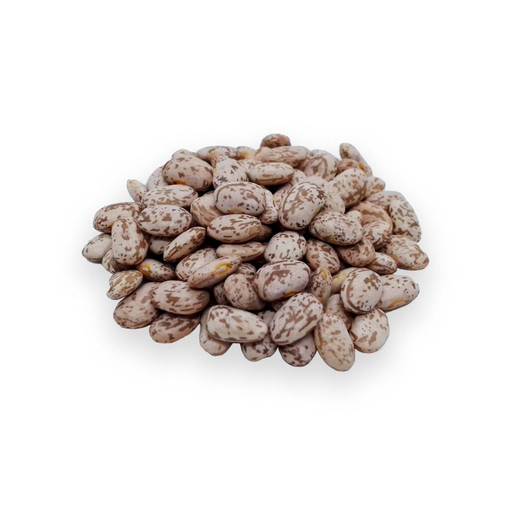 Frijol Pinto Americano – Comercializadora San Jose